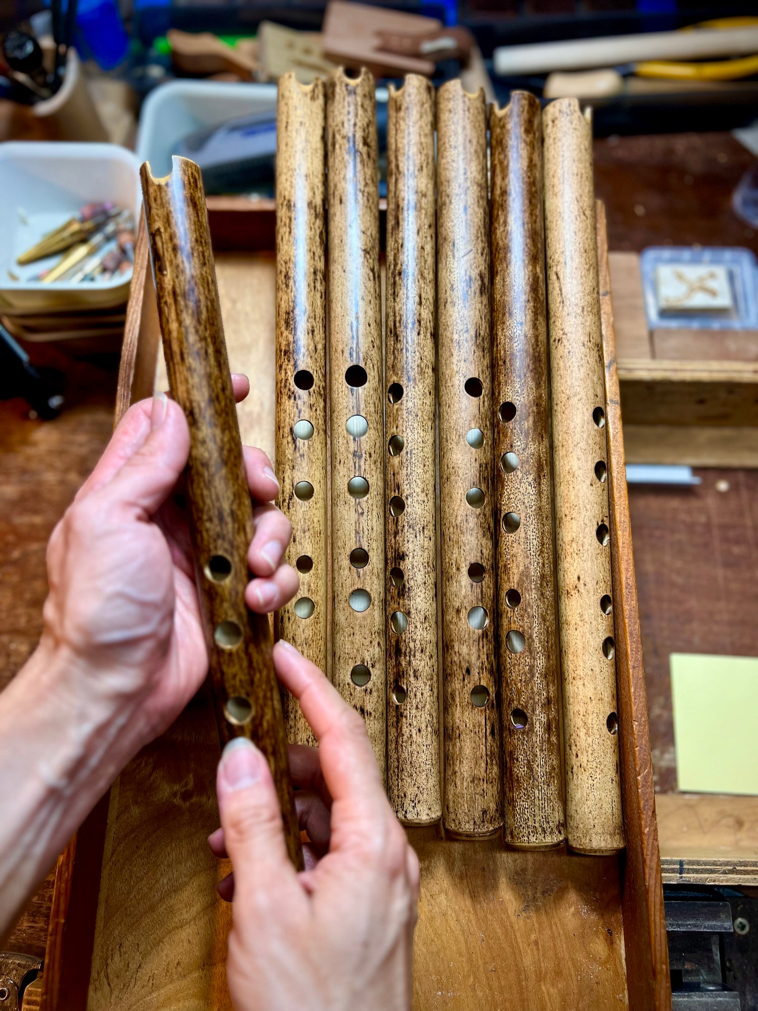 Leo Flutes